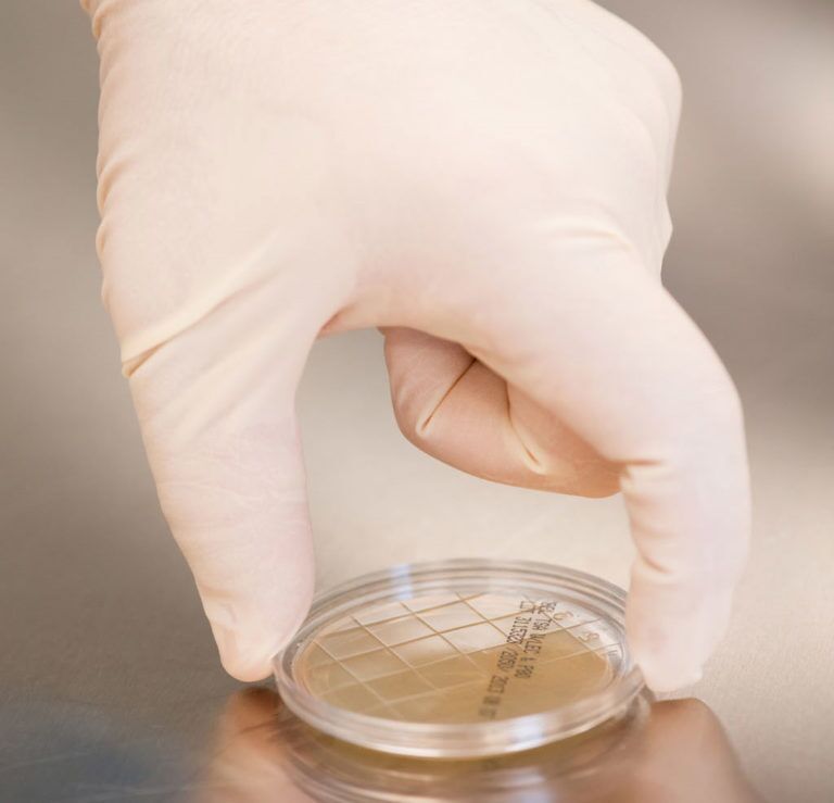 Surface Sampling for ISO Class 5 Primary Engineering Controls ...